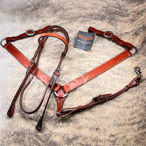Circle Y | Other | Circle Y Headstall Breast Collar Tack Set | Poshmark